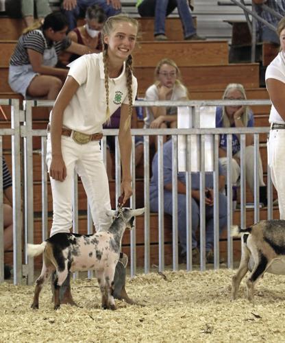 4-H'ers compete for dairy goat showmanship titles
