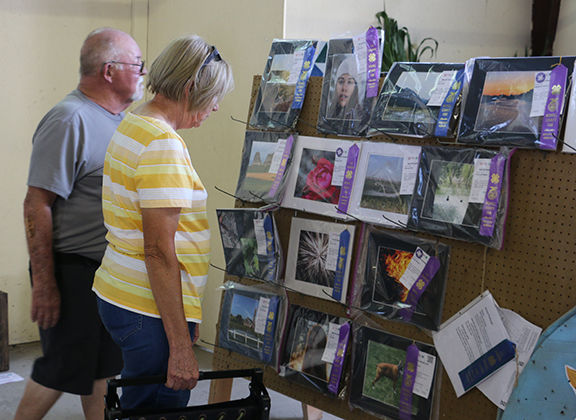Beef show main attraction at Morrill County fair