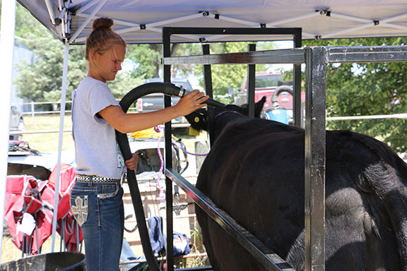 Beef show main attraction at Morrill County fair