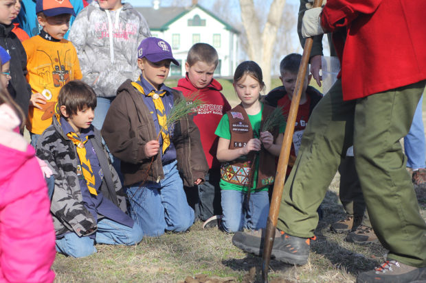 Scouts plant final trees for future generations