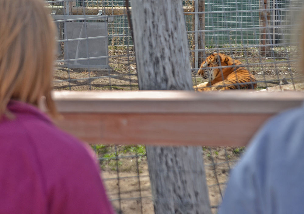 Students learn about exotic animals, learning about vet tech care at ...