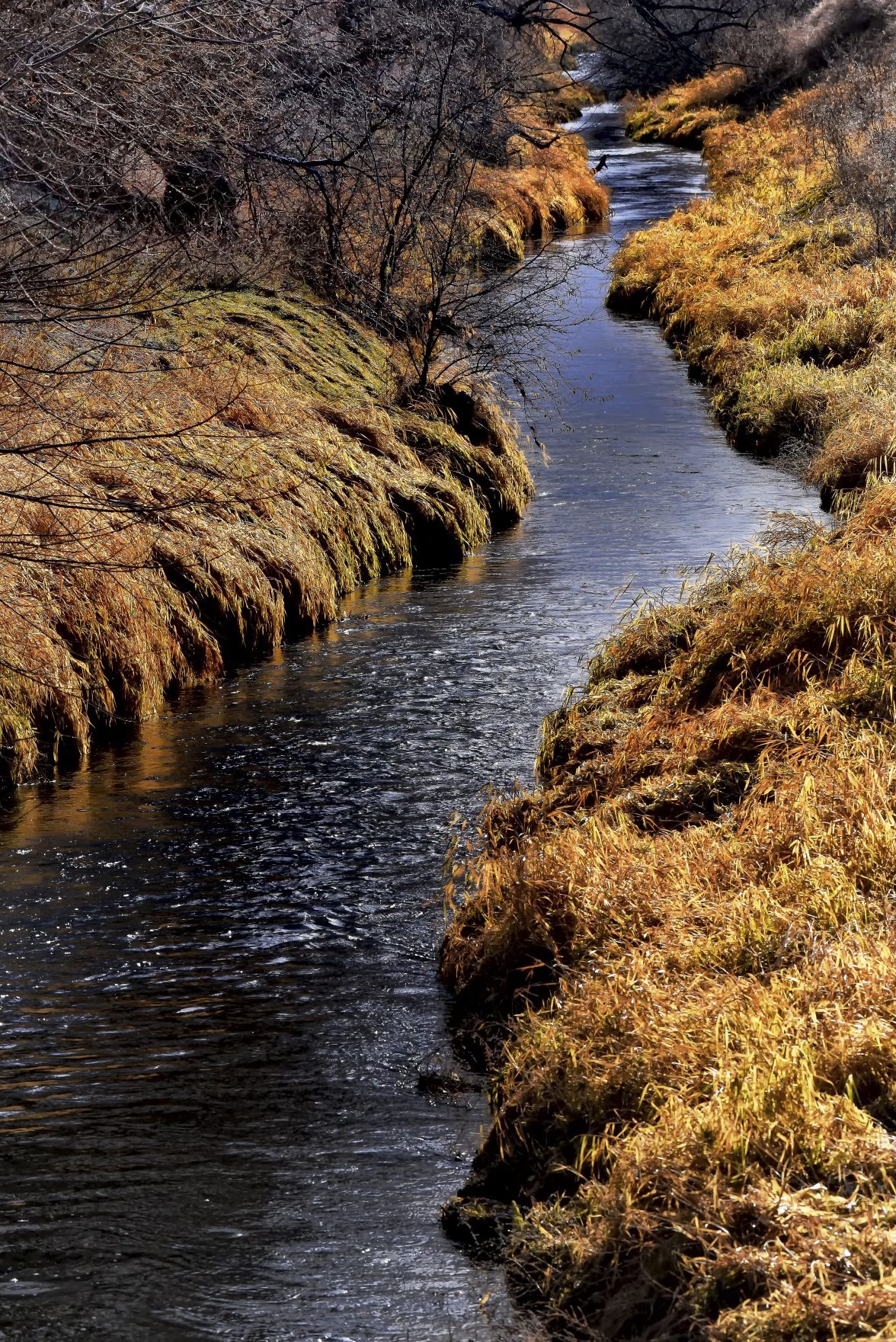 Platte River Basin Environments: Spotted Tail | Out Yonder | starherald.com