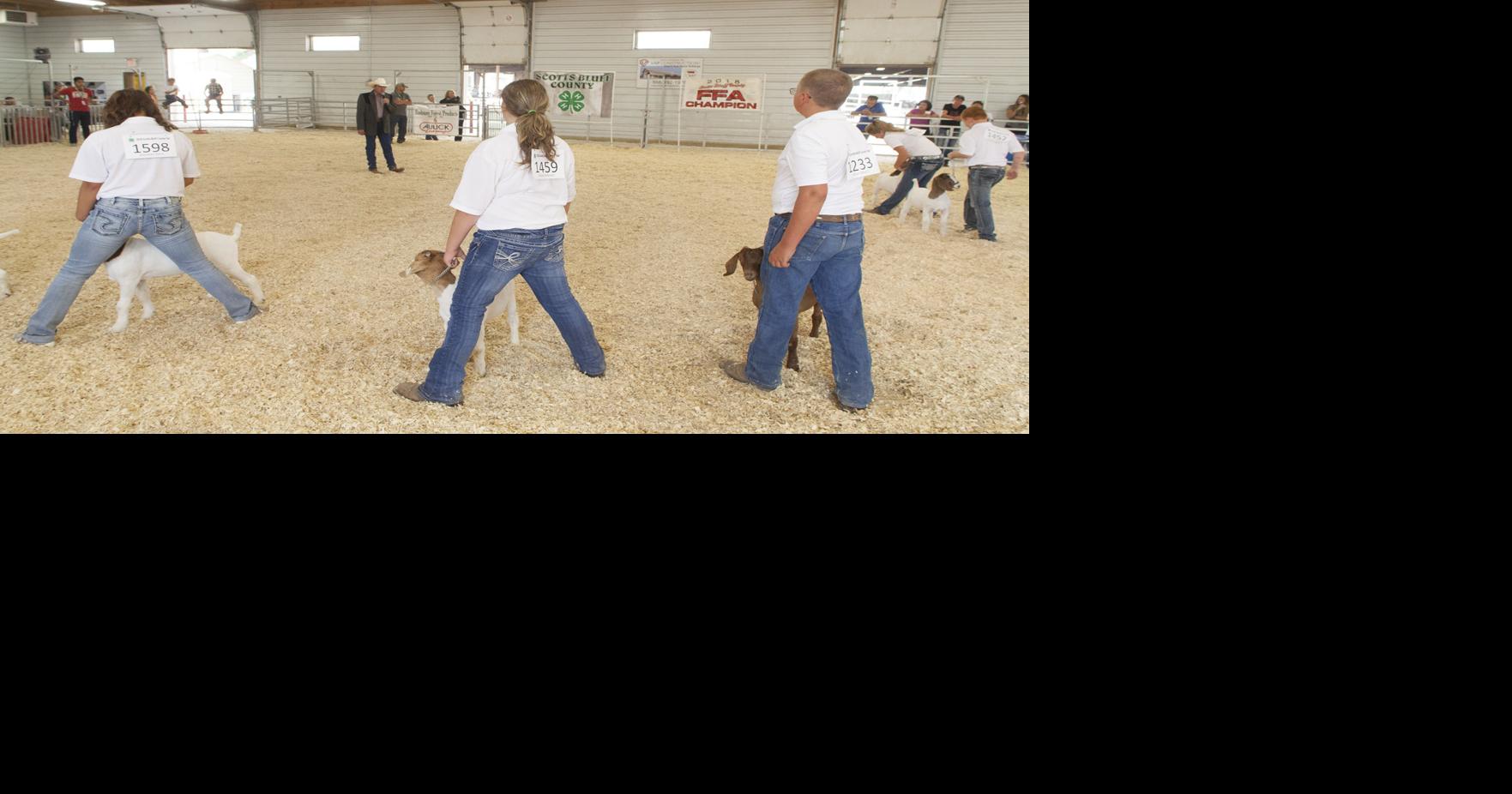 PHOTOS: 2018 Scotts Bluff County Fair 2018 Meat Goats Show