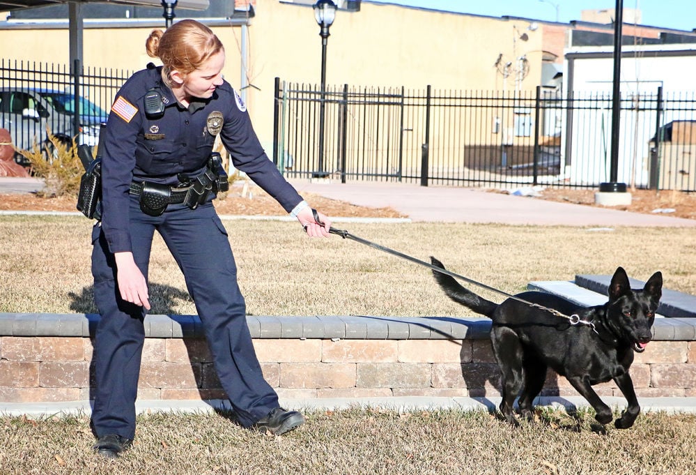 Kristen Massie & Kyra: Partners serving community, fighting crime