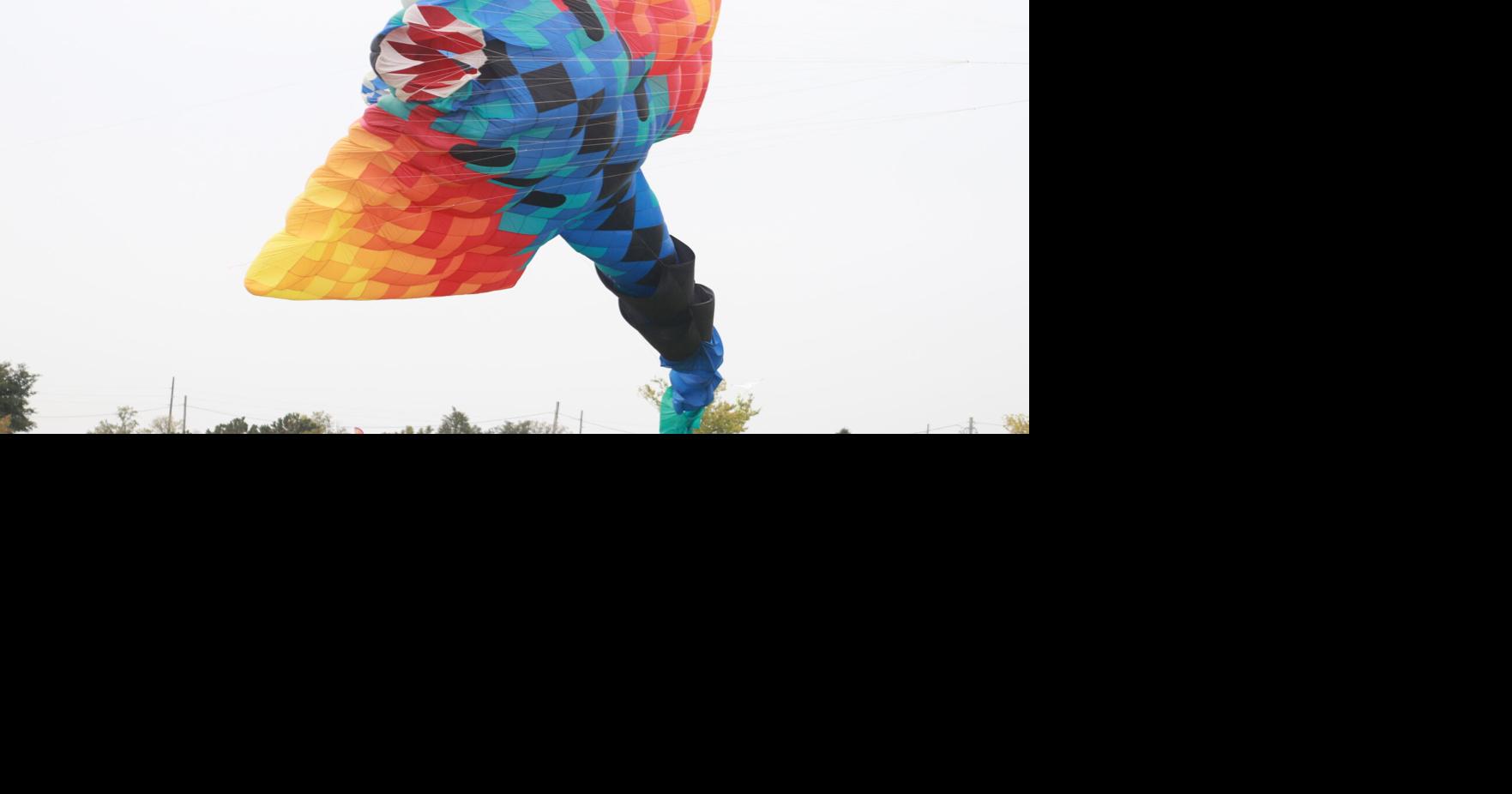 'A reason to look up': Great American Kites and Events brings colorful ...