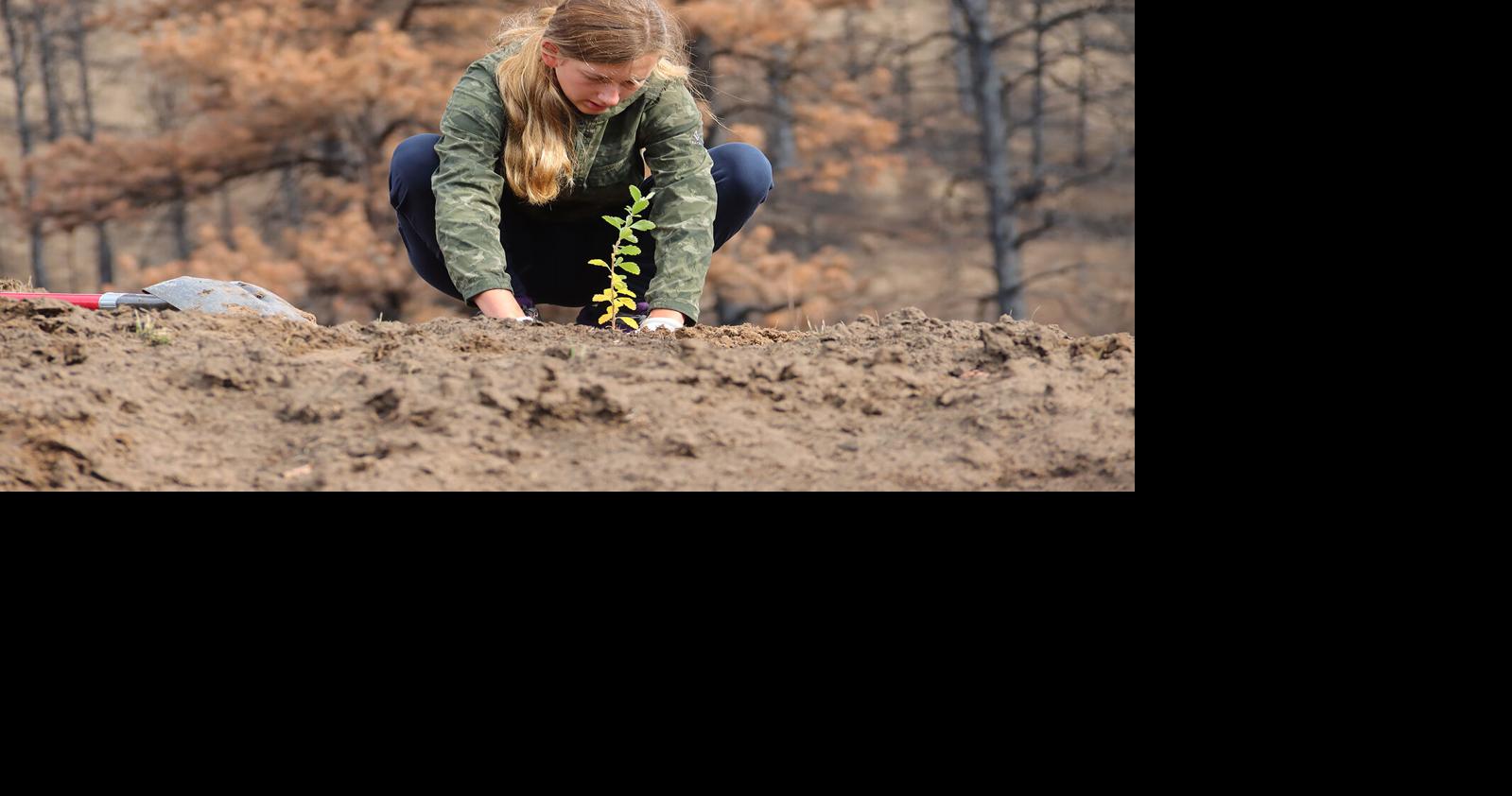 Gering student council plants hundreds of trees in Carter Canyon area