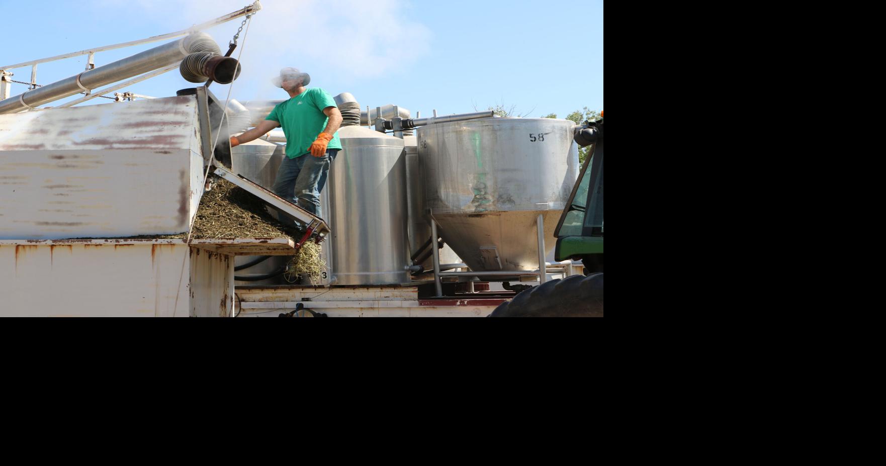 Local farmer turns chemist: Dan Fitts farms peppermint, extracts oil ...