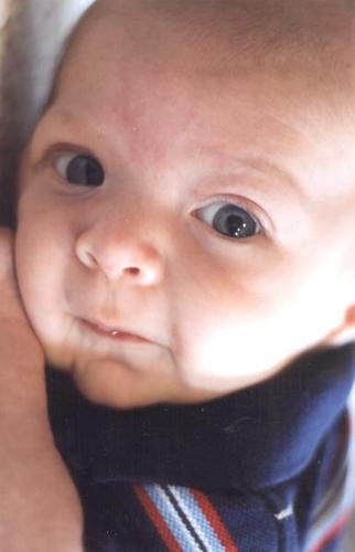 Wesley Warren Ellison