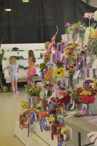 Static exhibits offer community involvement in the local fair