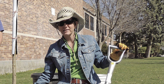 AMY SEILER: Ponderosa Pine is the shade tree of the west