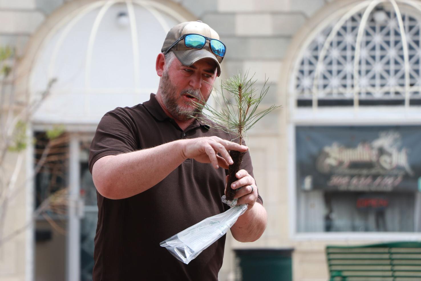 Arbor Day events engage young learners: Students plant trees, learn ...