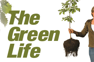 The Green Life