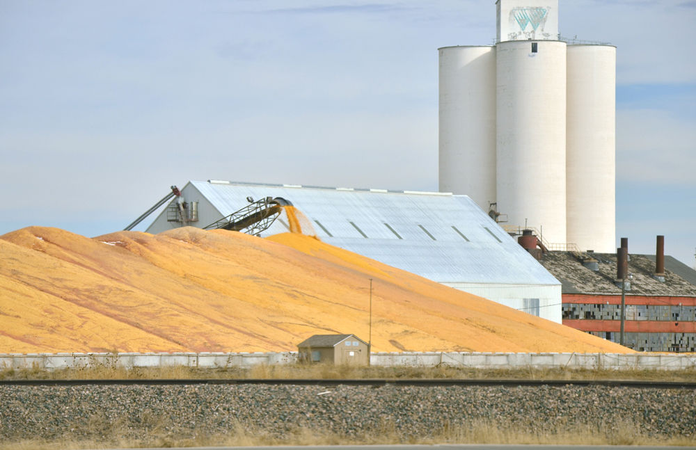 Piling Up: U.S. corn production on track to set records
