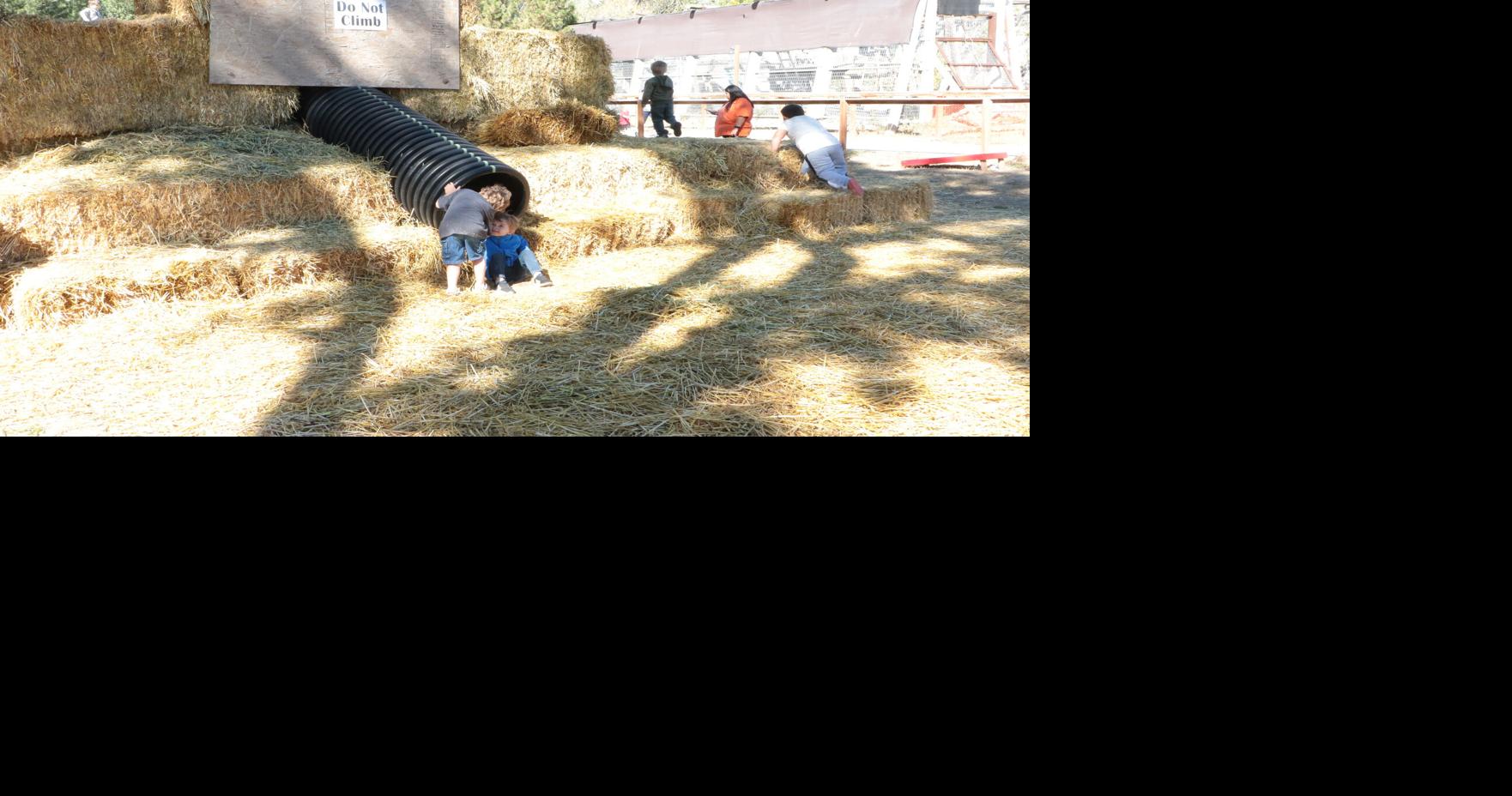 Riverside Discovery Center’s hay fort ready for kids