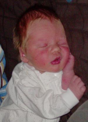 Hayden Robert Trevithick