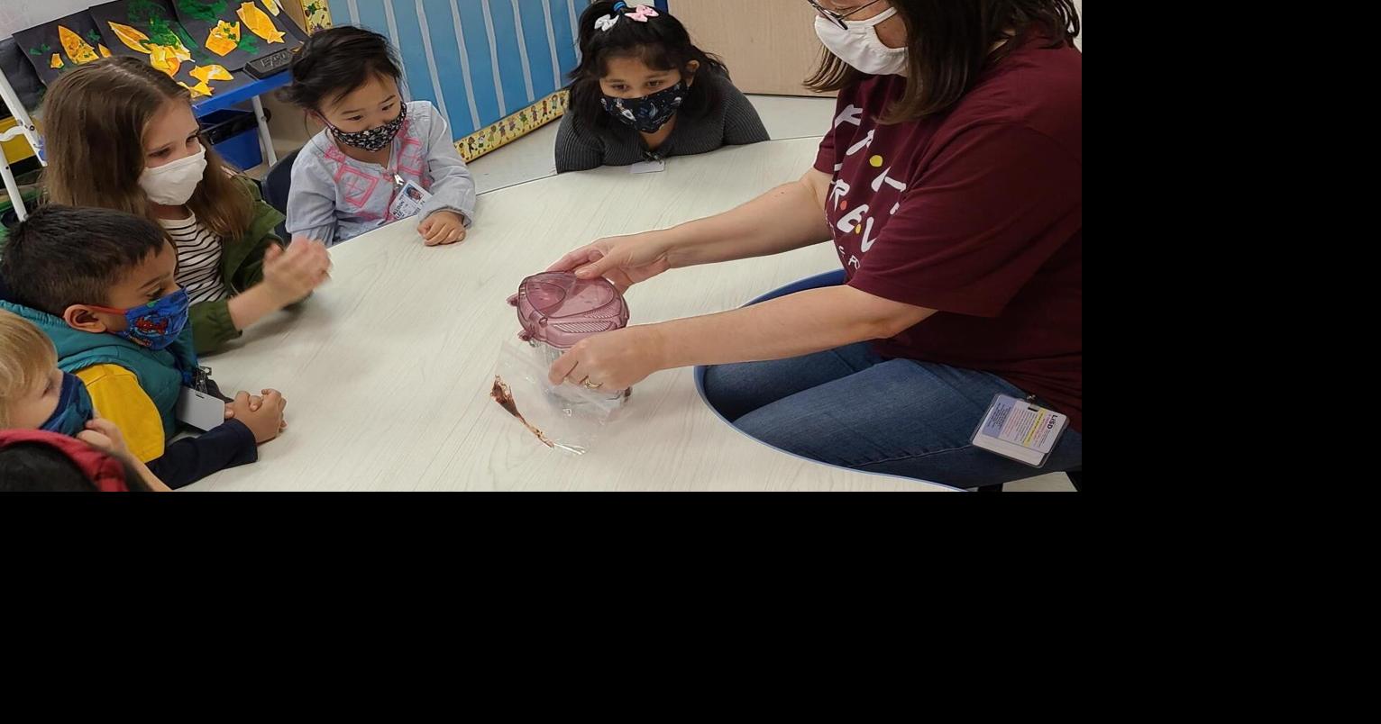 LISD announces safety measures for rest of year | Carrollton Leader ...