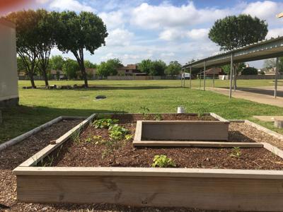 Green thumbs, growing minds: Garland ISD’s GRCTC partners with Herfurth ...