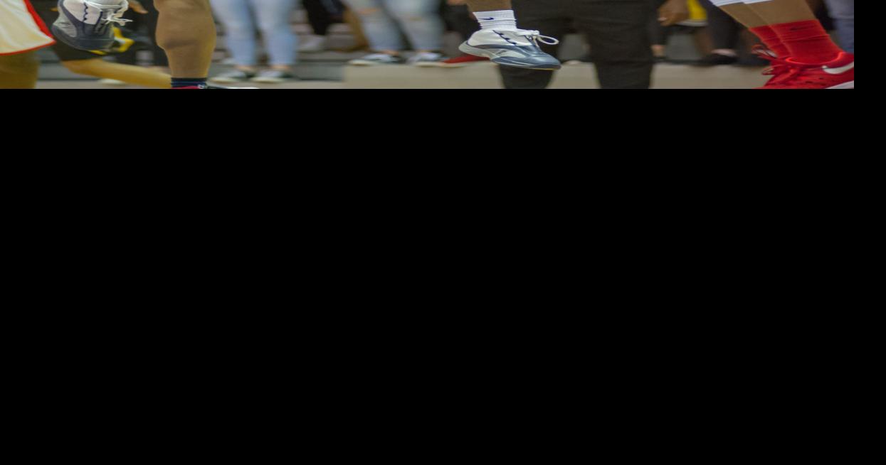 Panthers add basketball banner: Three-round playoff run, district title ...