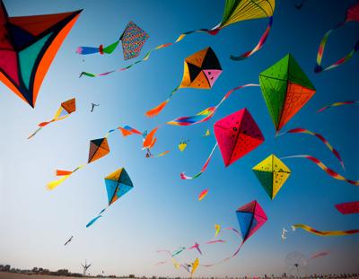 Vibha's Kite Flying Festival fosters community, supports ...