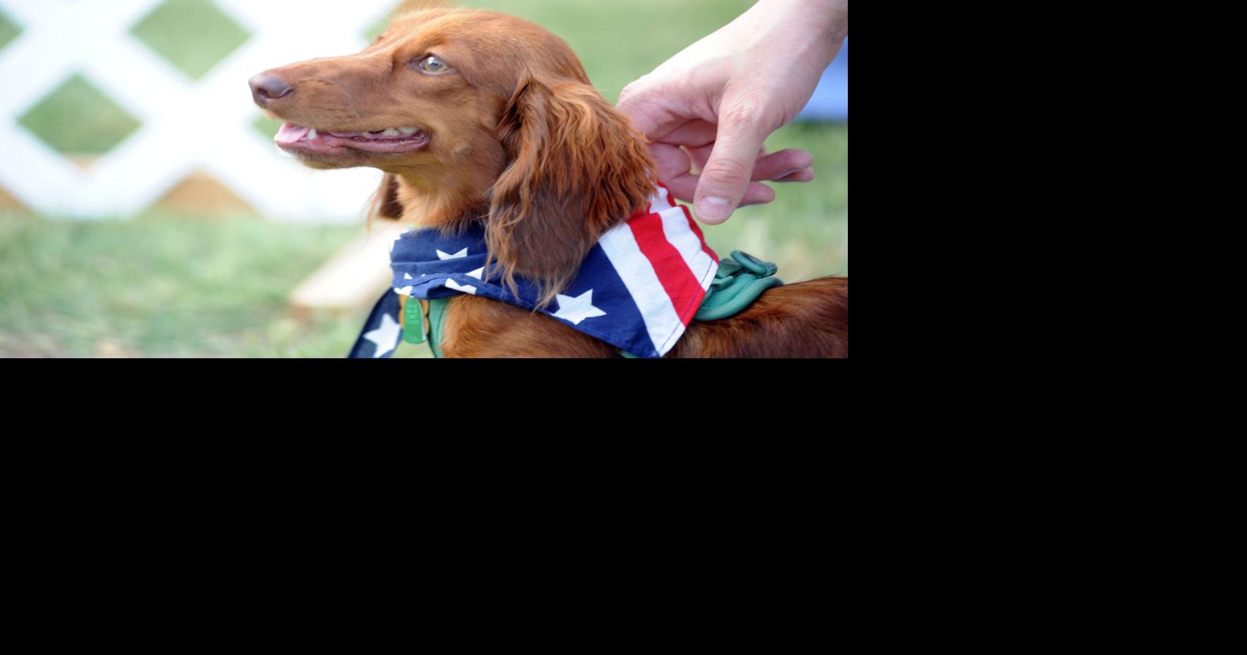 Opening day of Frisco Freedom Fest goes to the dogs! | Homepage ...