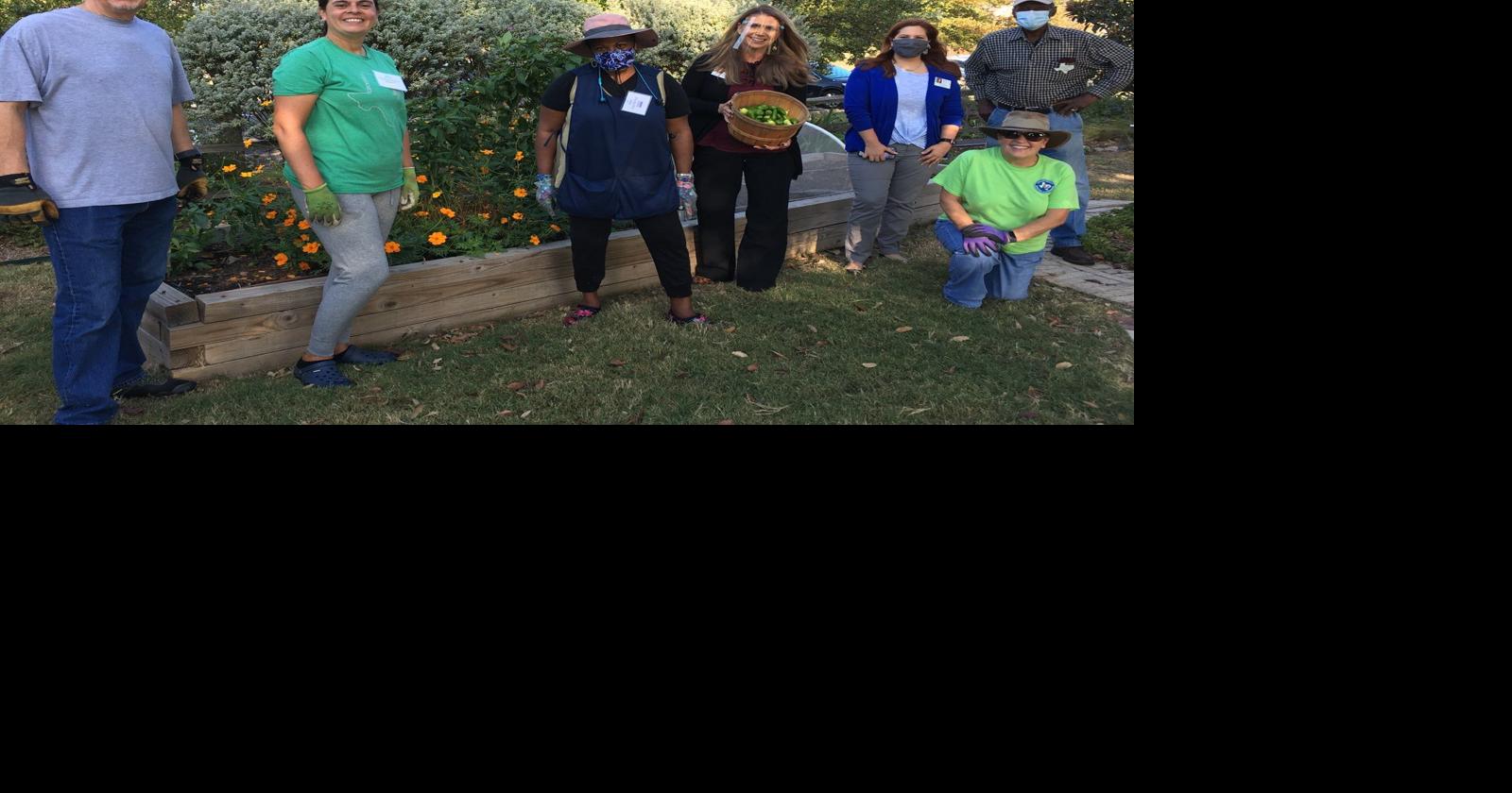 Learn more about how this community garden connects the Prosper ...