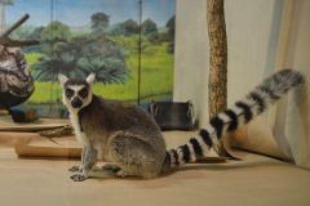 Heard Museum award recognizes UNT students’ animal training services ...