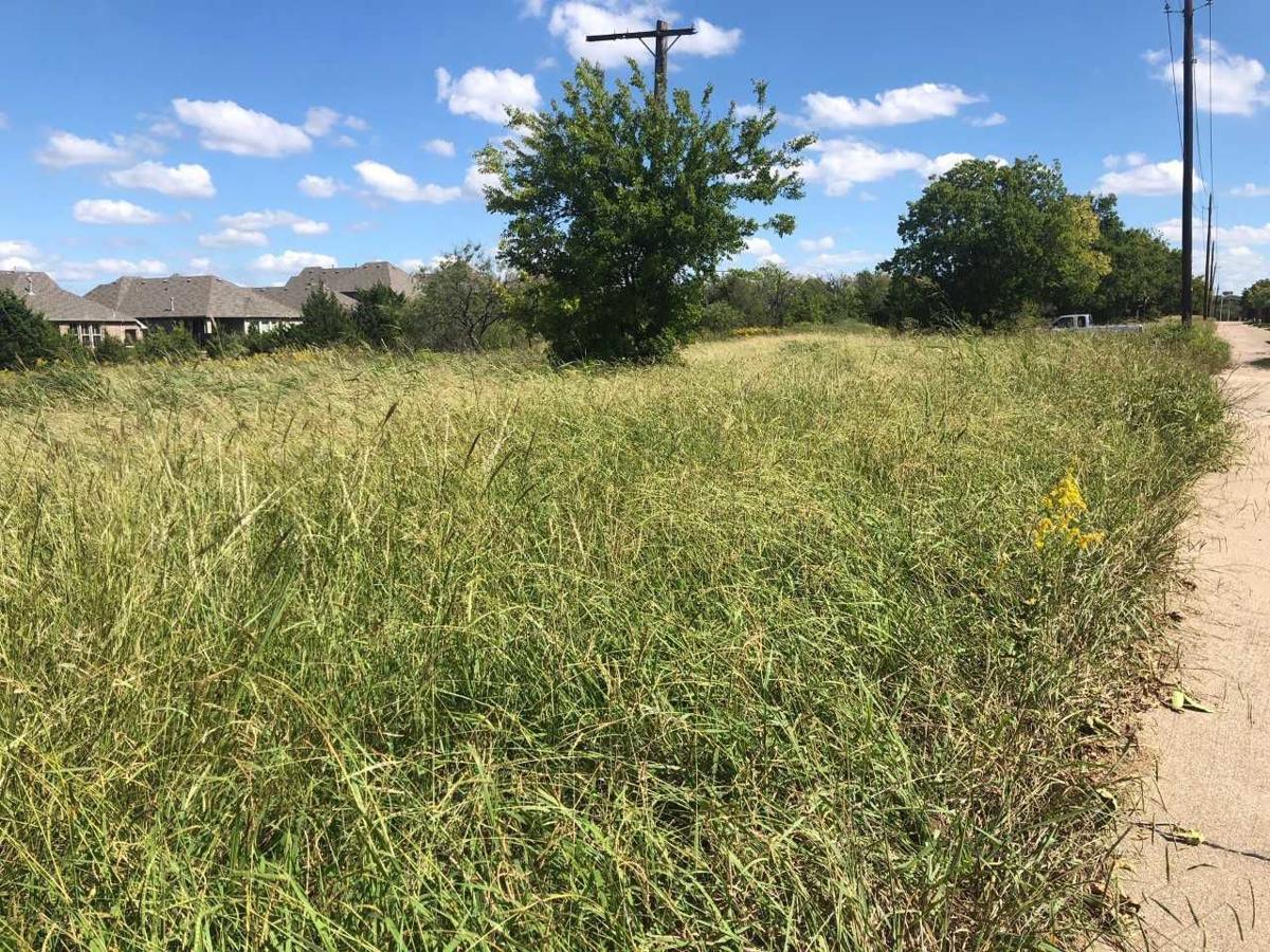 Why some of Plano's park grass is overgrown | News | starlocalmedia.com