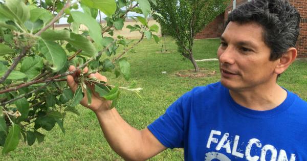 Schrade Middle School garden produces lessons in science, work, life ...