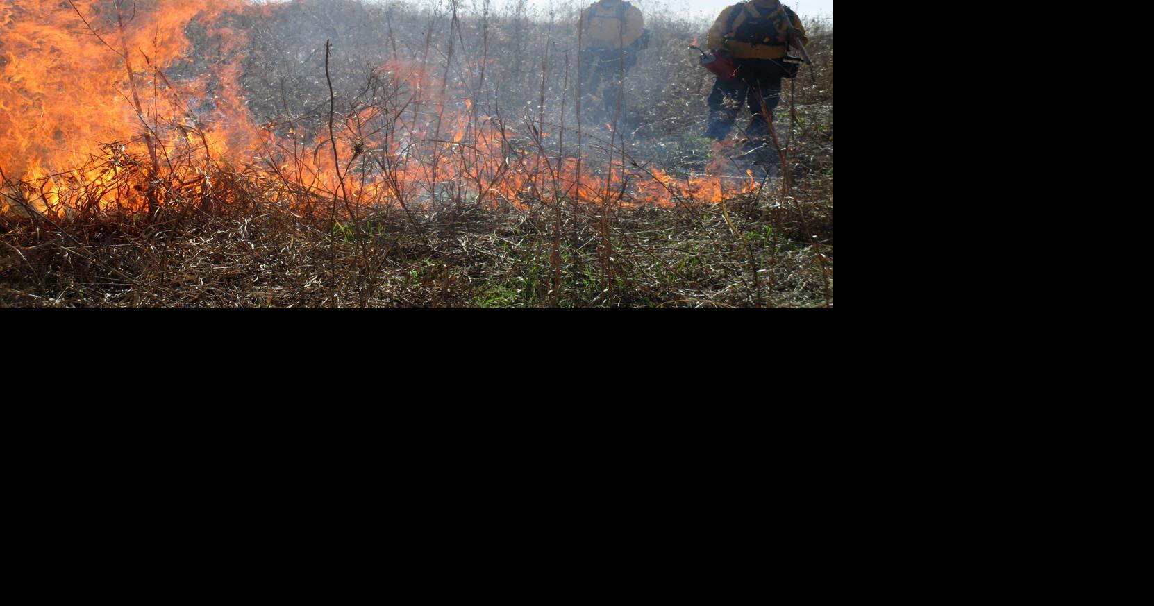 Town to host partial prescribed burn at The Flower Mound | Flower Mound ...