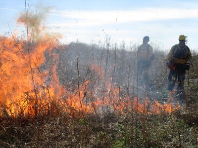 Town to host partial prescribed burn at The Flower Mound | Flower Mound ...