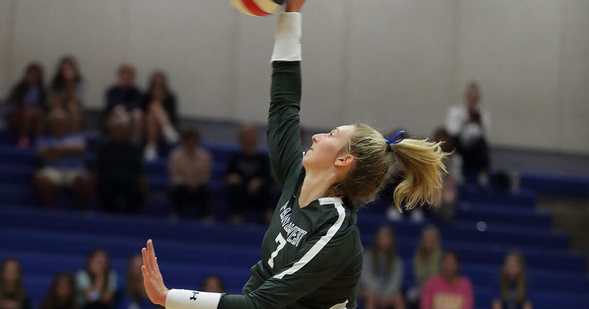 Bayless leading young Lady Wolves to promising start to season | Plano ...