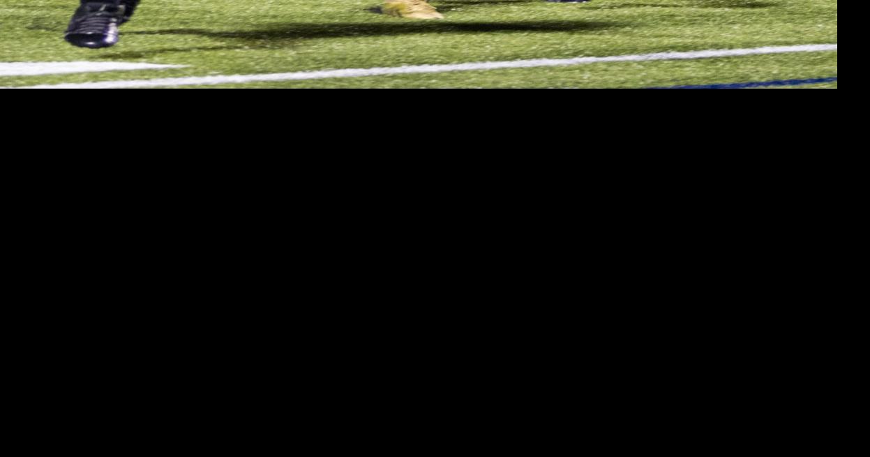 Some pluck in these Panthers: Playbook retention, team chemistry ...