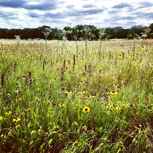 Residents concerned about proposed cluster development | Flower Mound ...