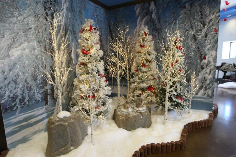 Fairview Town Center unveils new Santa experience | Allen American News ...