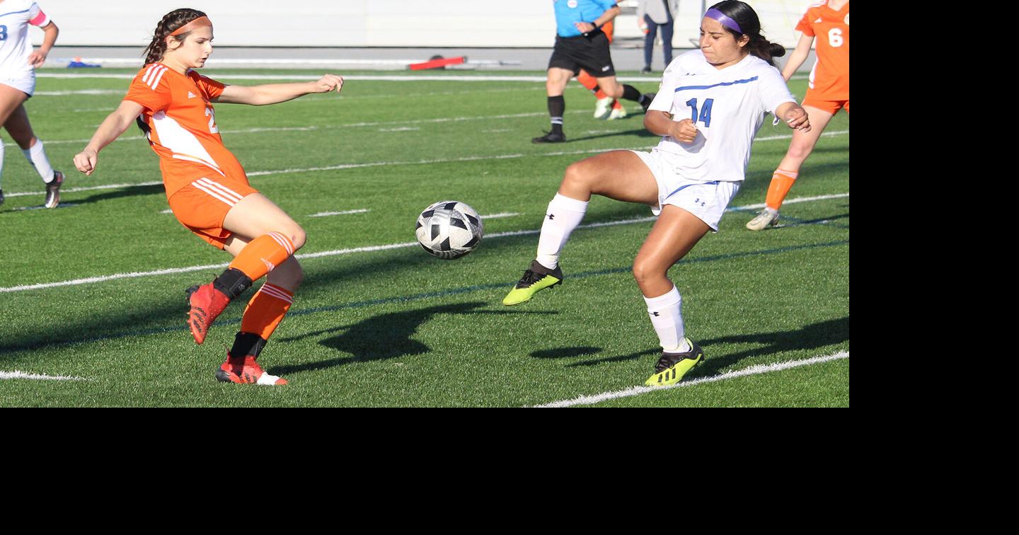 Roar and score: Photos from Celina girls soccer team's first-round rout ...