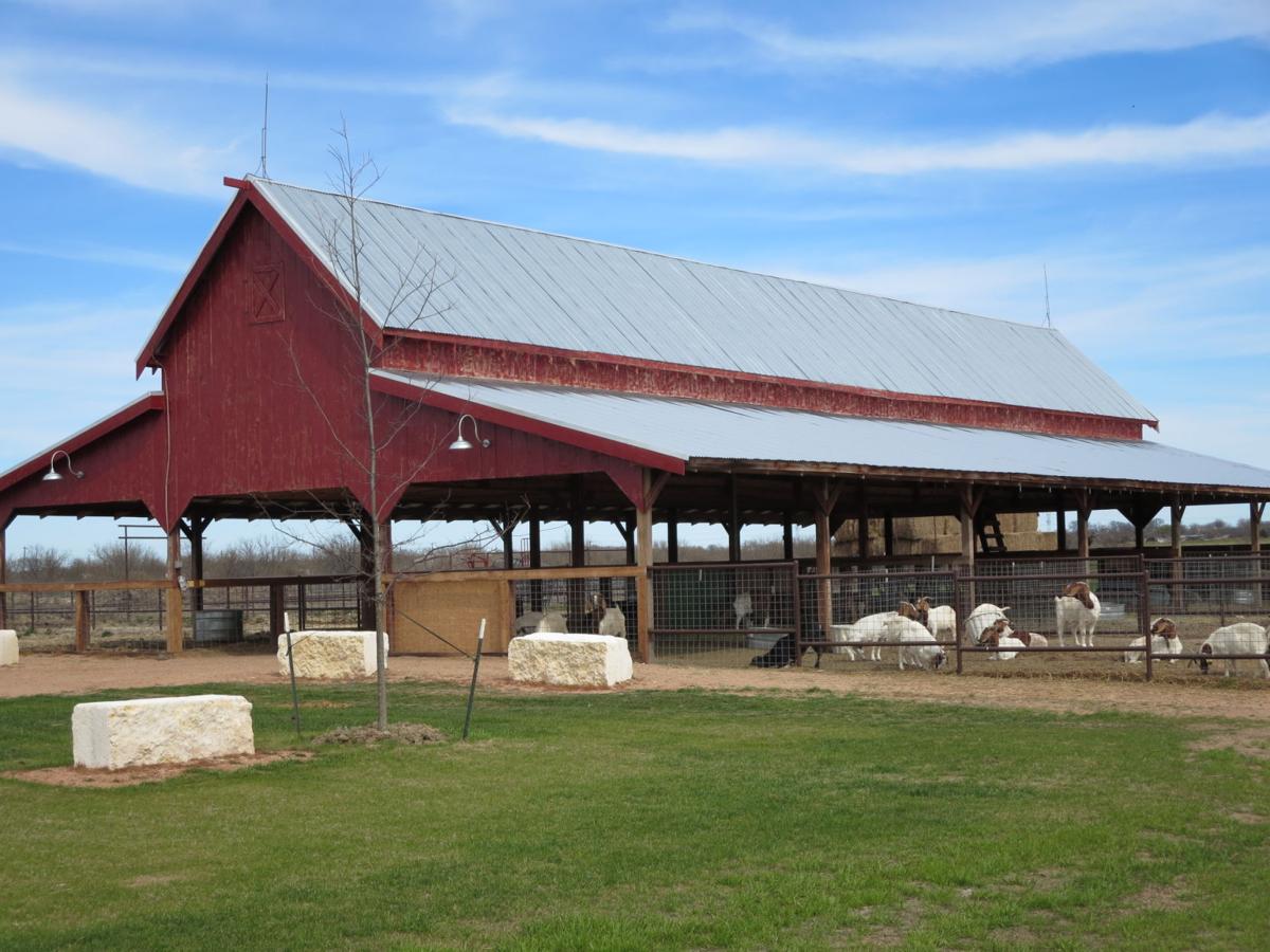 Petting farm brings visitors close to barnyard favorites | Celina ...
