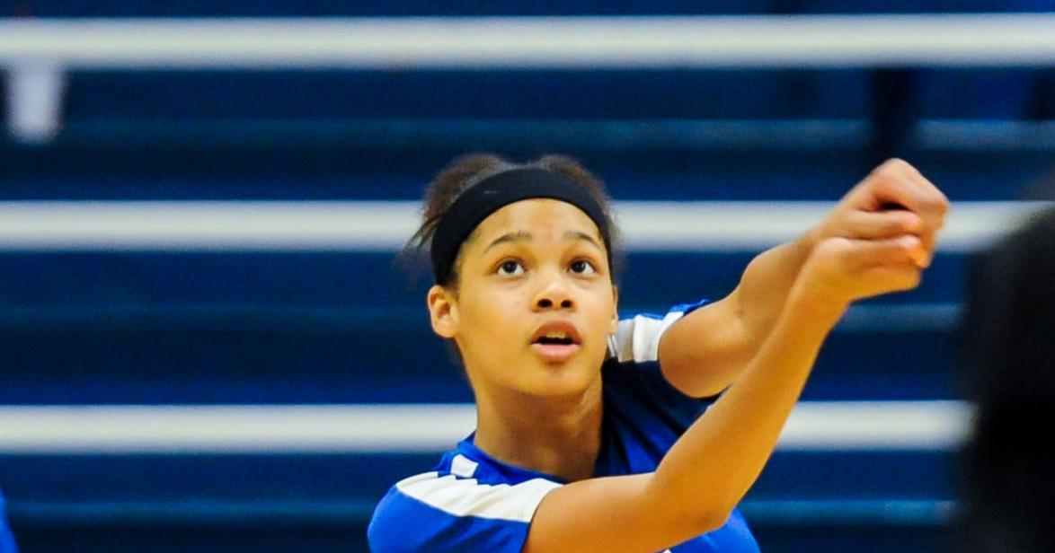 10-6A Volleyball: Stallions dump Berkner for second district win ...
