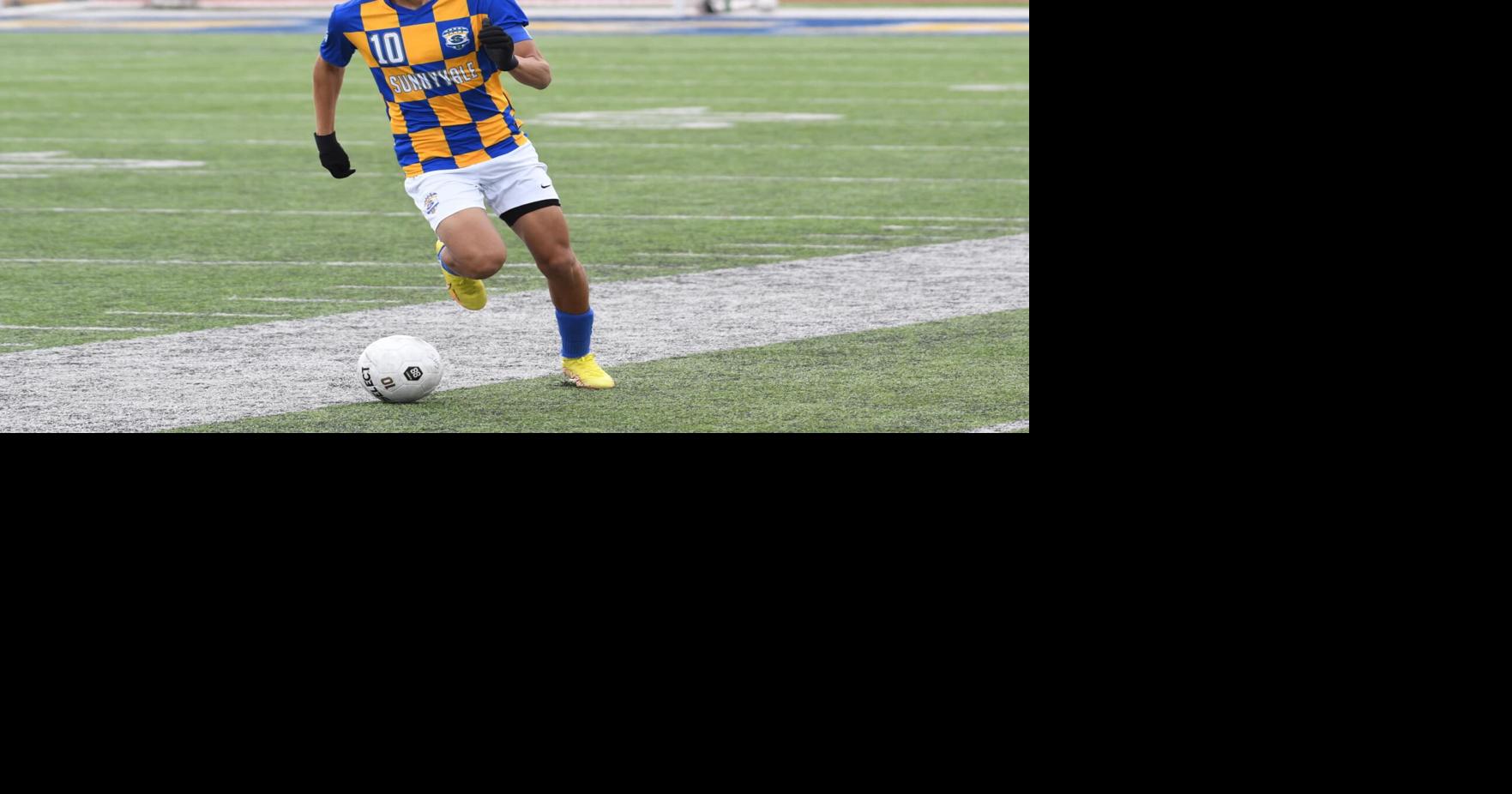 Raider honors: Sunnyvale boys land large group on all-district team ...