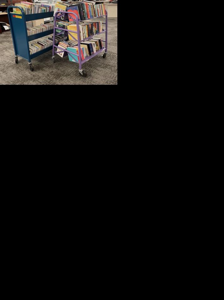 How The Colony, Lewisville, Little Elm and Carrollton libraries kept ...