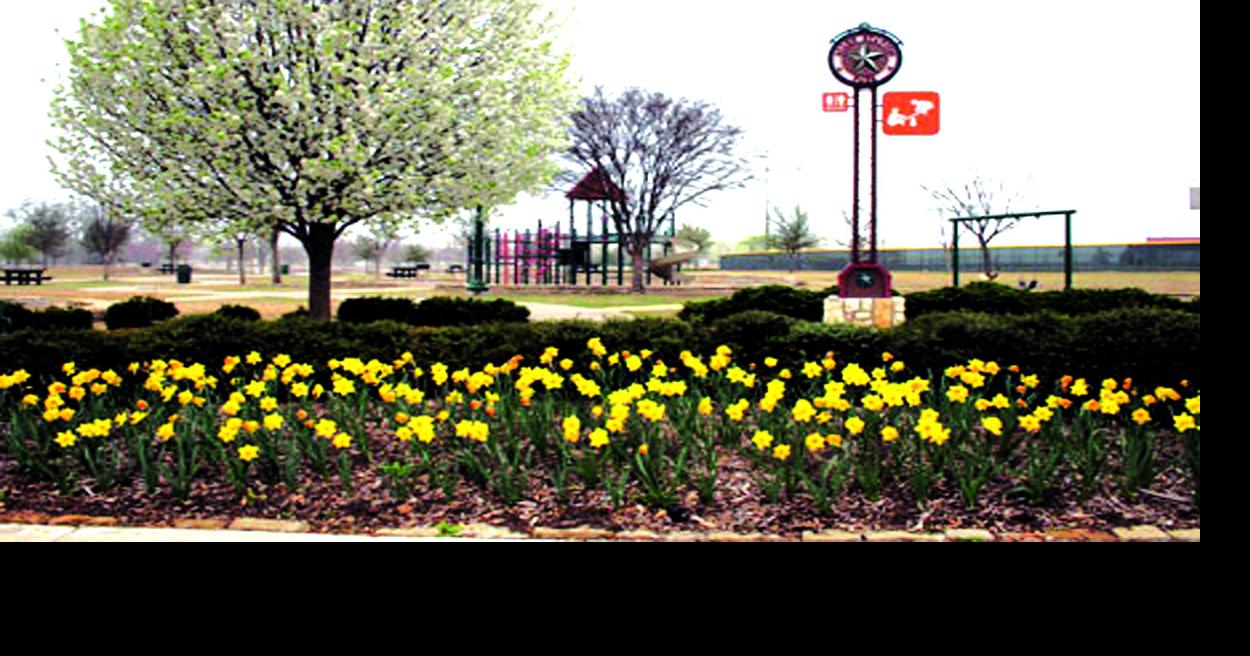 Allen Parks and Recreation finalist for national award | Allen American ...