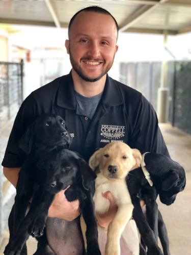 This Coppell Animal Services Officer has been working for the facility ...