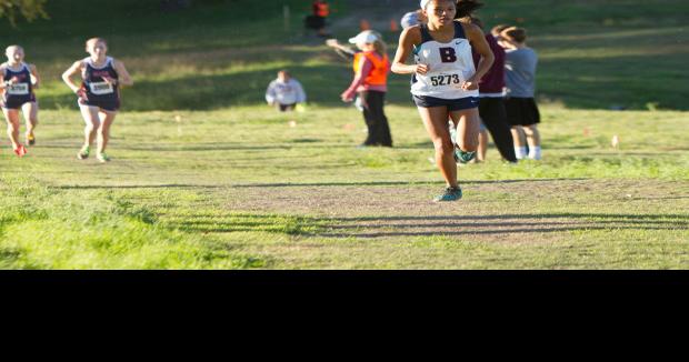 No stress: Boyd runner fights through injury to qualify for state ...