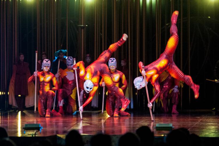 Cirque du Soleil: Varekai | Live And Local | starlocalmedia.com