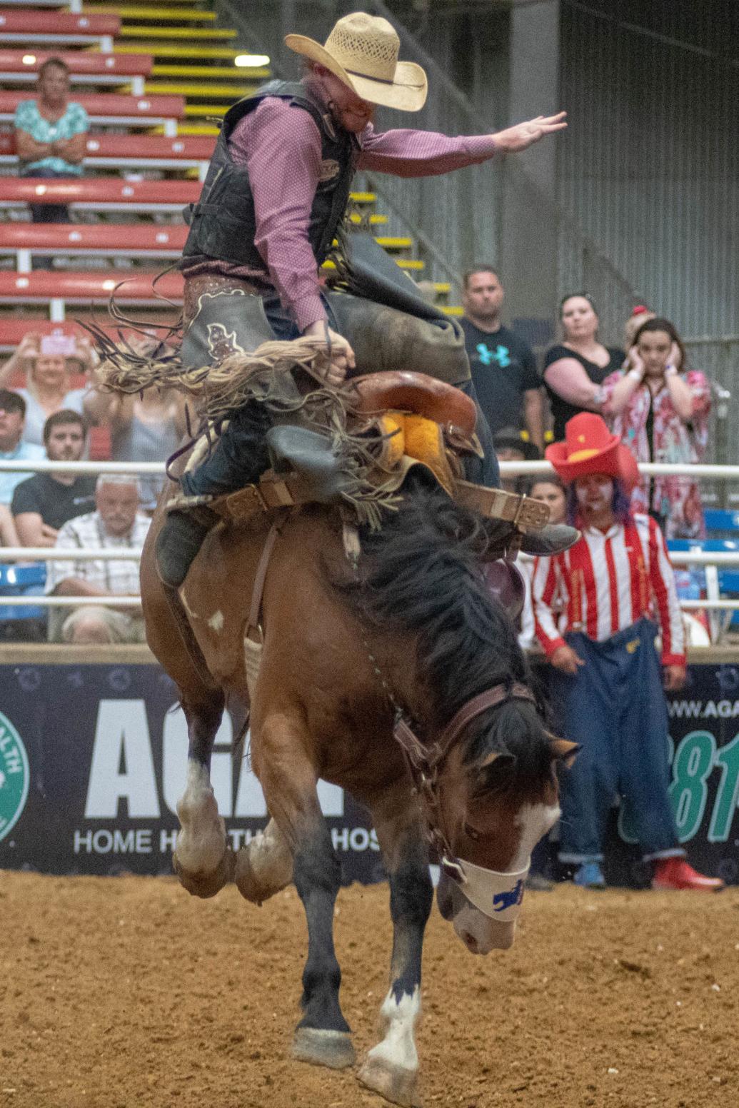 Midwestern cowboy brings it to Mesquite | News | starlocalmedia.com
