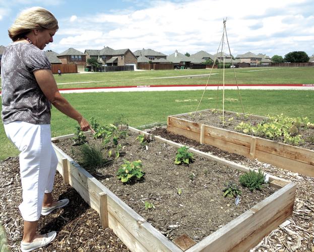 'Lettuce Turnip the Beet': Steadham Elementary librarian creates ...