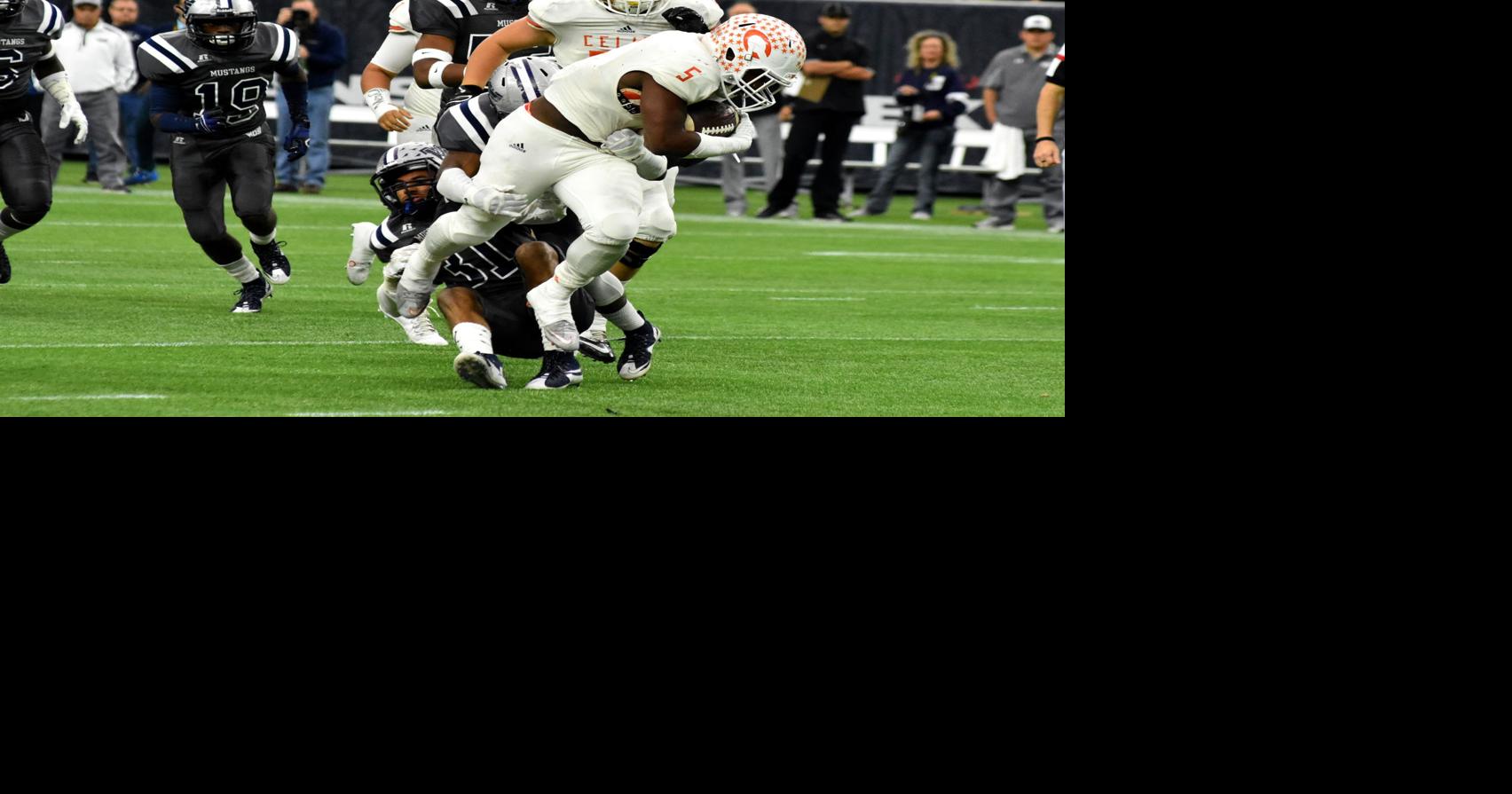 Team Preview: Celina Bobcats | Celina Record | Sports | starlocalmedia.com