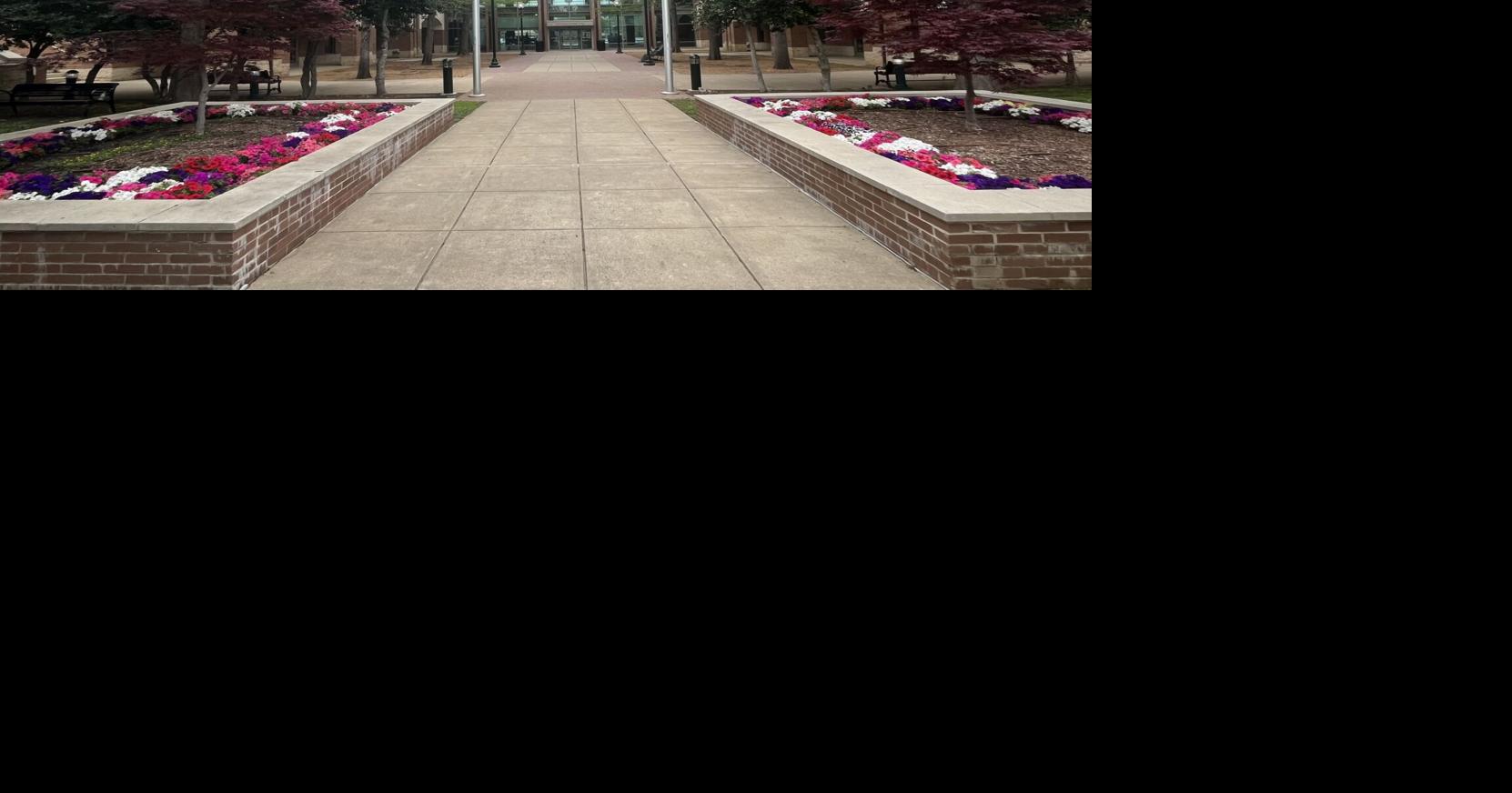 McKinney library to host inaugural literary festival | McKinney Courier ...