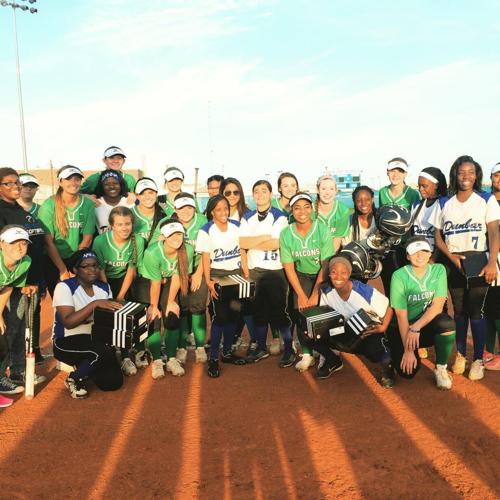 Lady Falcon Softball Gives Back | Lake Cities Sun | starlocalmedia.com