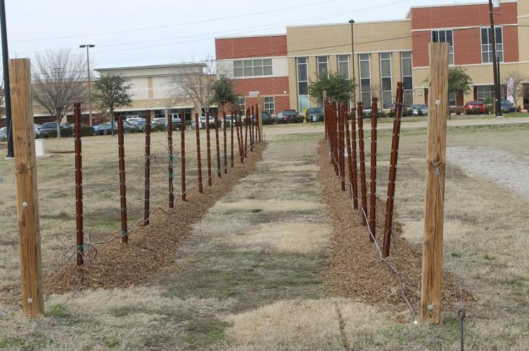 Guest column: Unused county property transformed into fresh food source ...