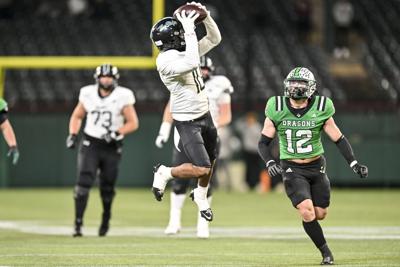 Acompanhante trans birigui